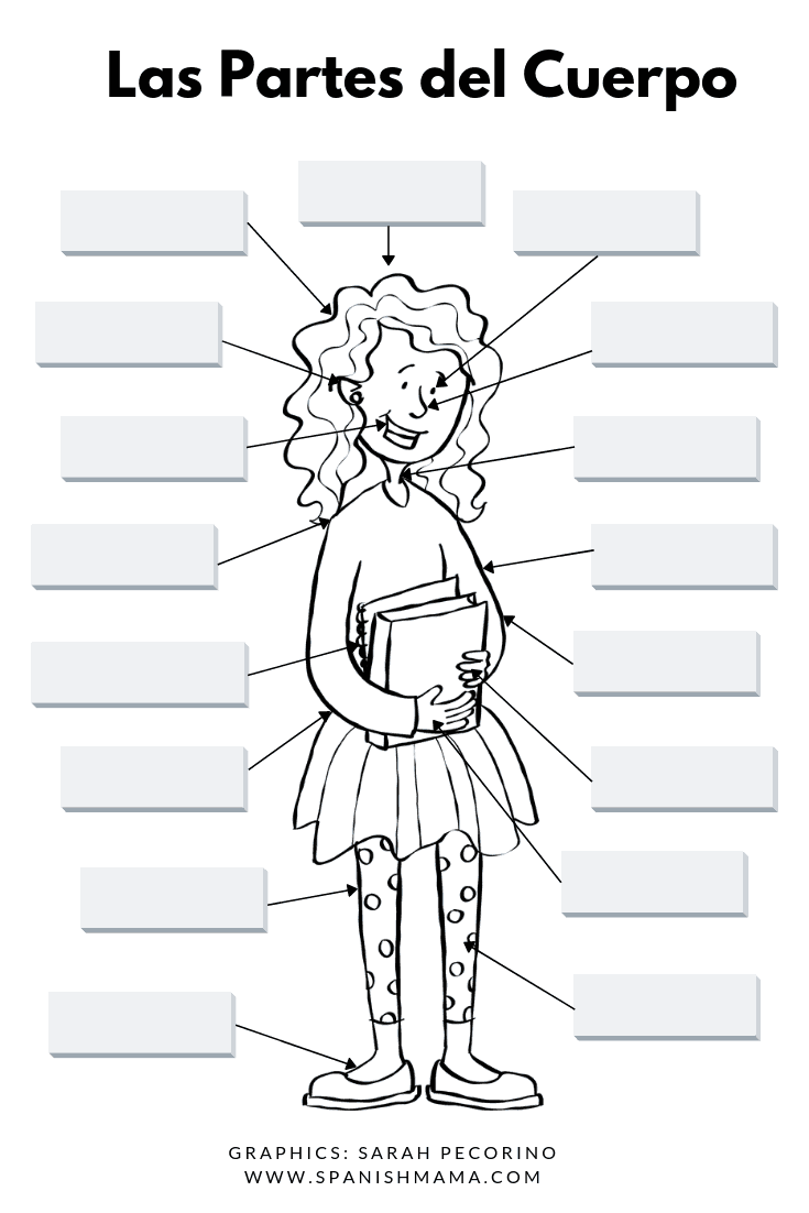 44 spanish body parts worksheets 44 spanish body parts worksheets